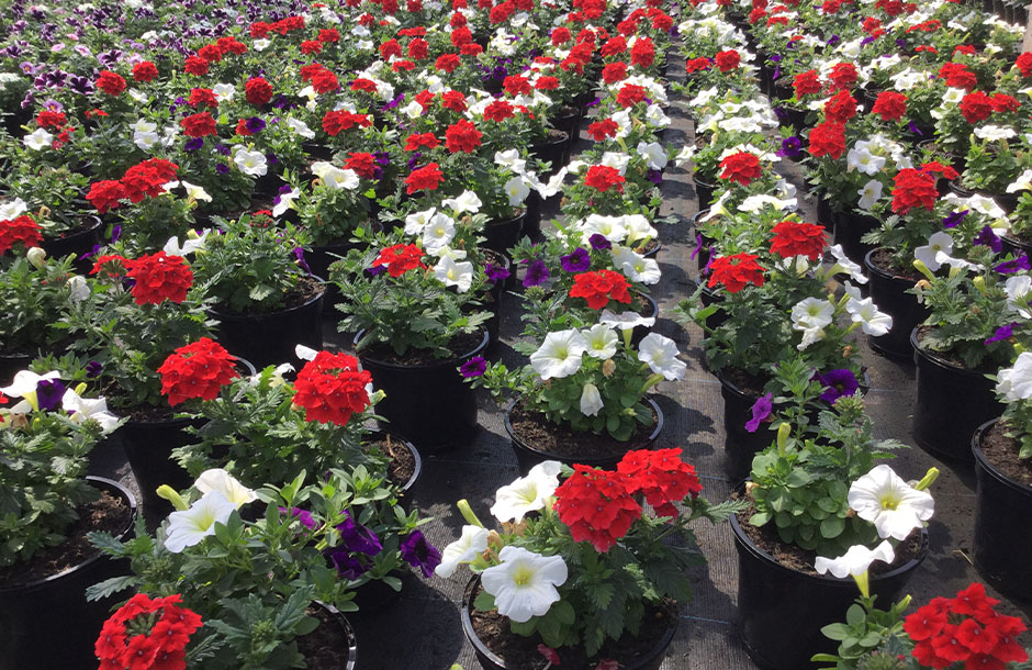 Further Product Information - Sinclair